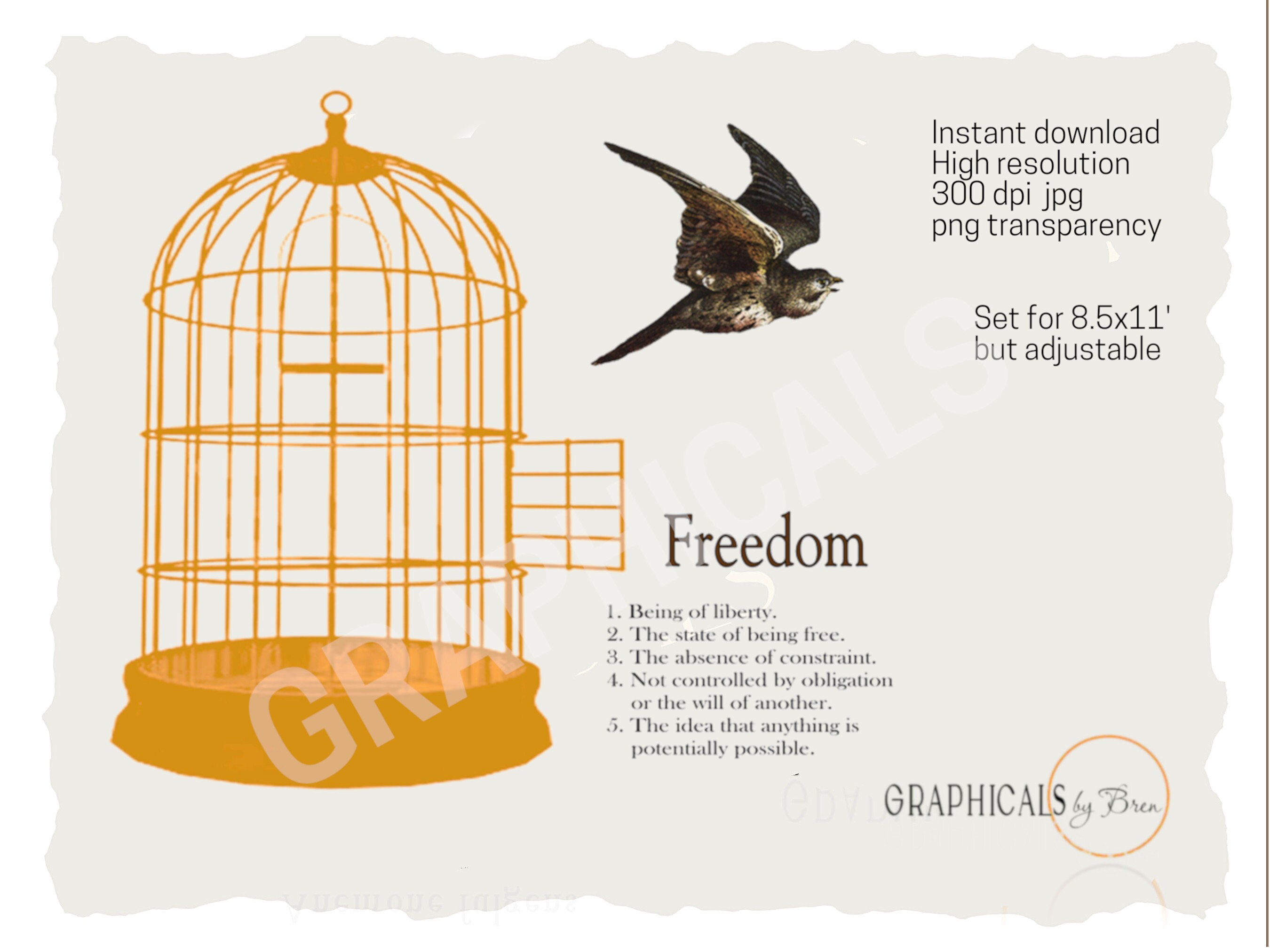 Bird Cage Freedom