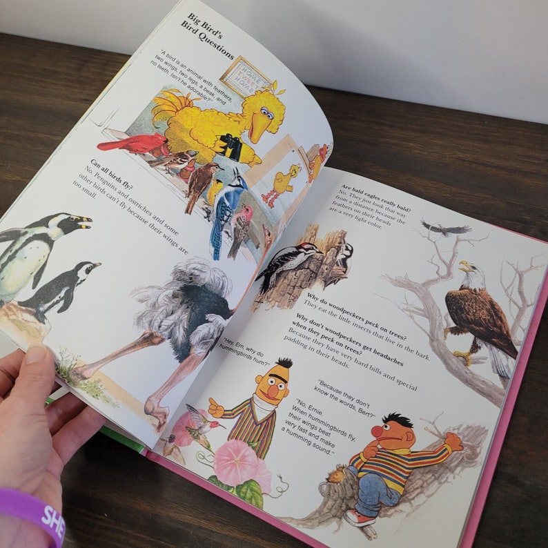 Sesame Street the Whole Wide World: A Question and Answer Book - Etsy