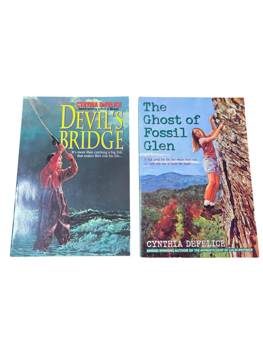 Devil's Bridge Ghost of Forest Glen Cynthia Defelice Vintage Books ...