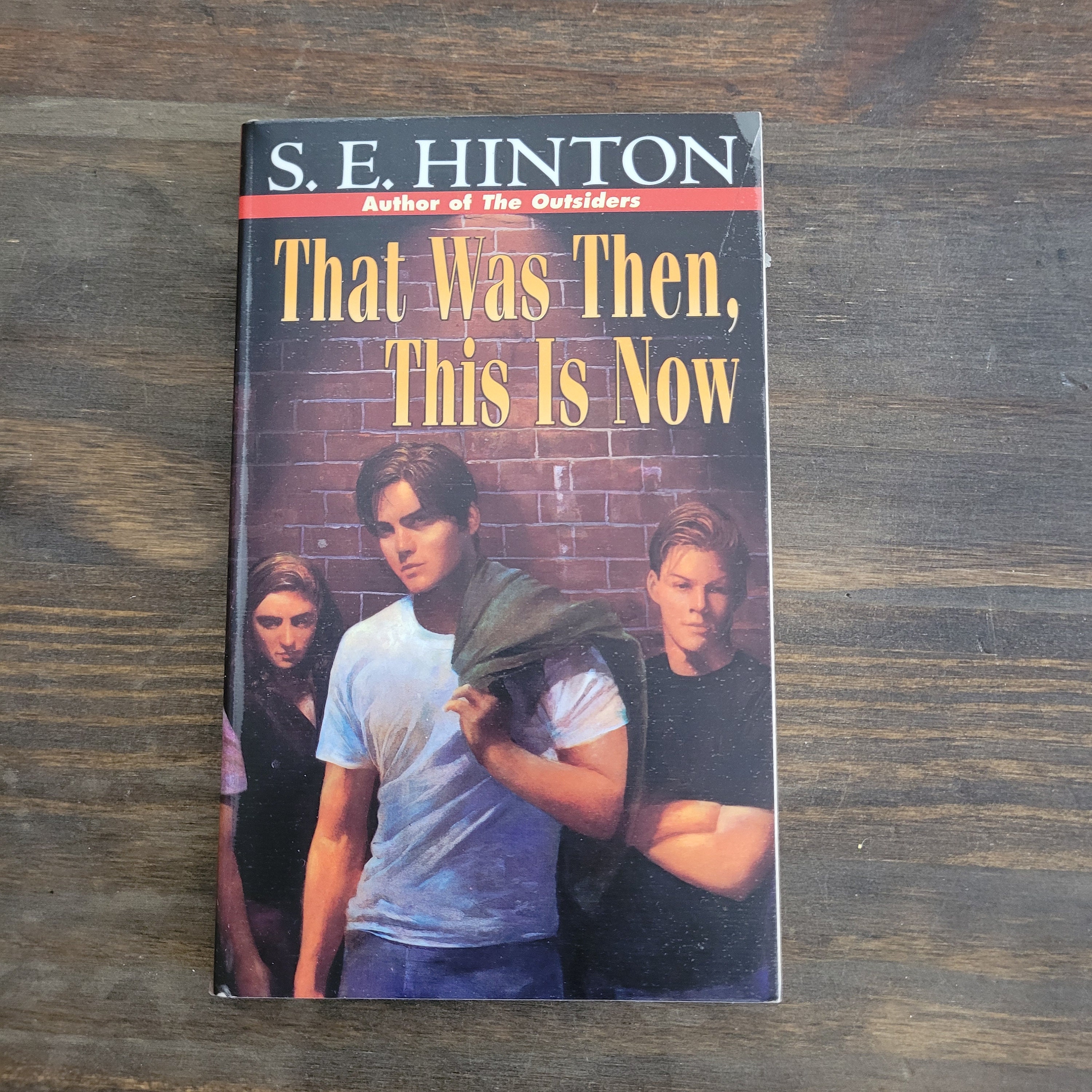 That Was Then This Is Now Book Cover