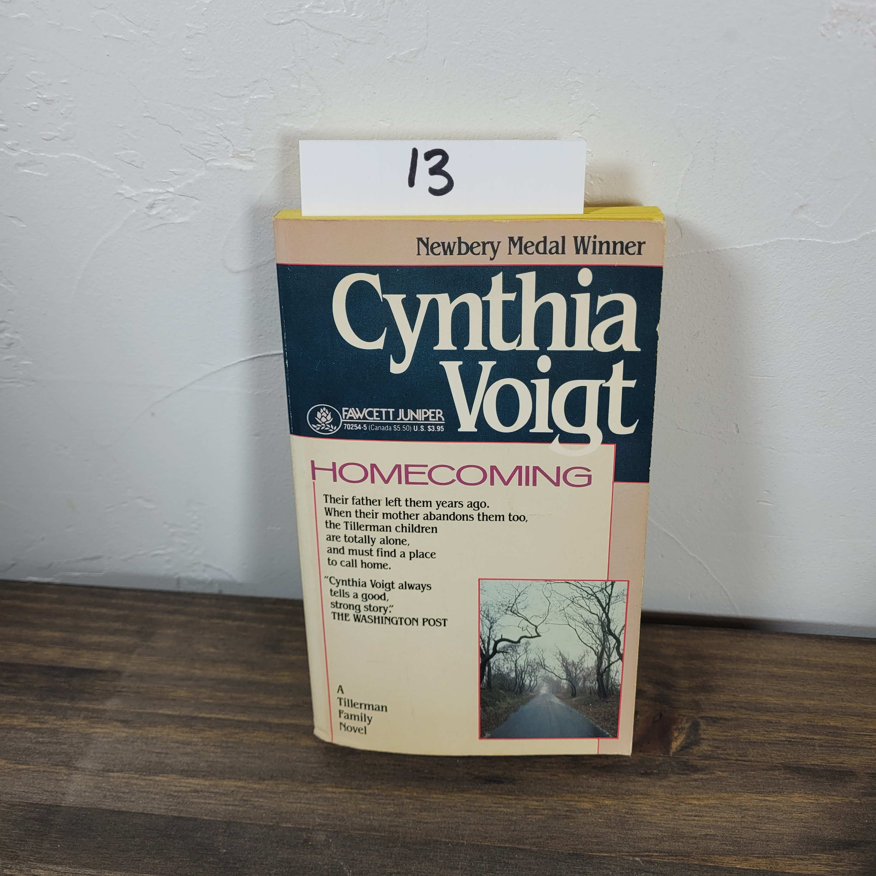 Homecoming Cynthia Voigt Momma