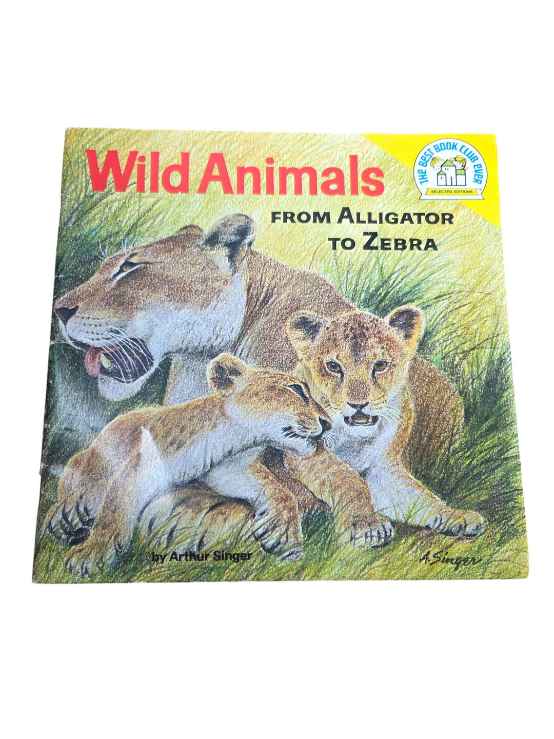 Wild Animals From Alligator to Zebra - Paperback by Singer, Arthur ...