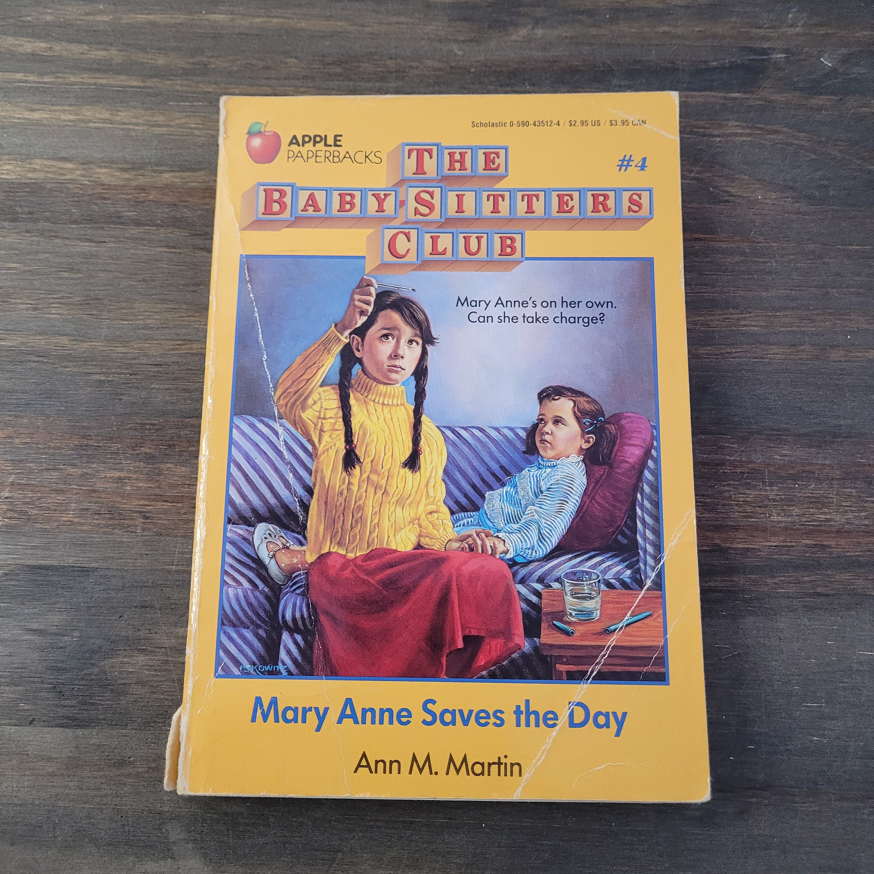 Mary Anne Saves The Day