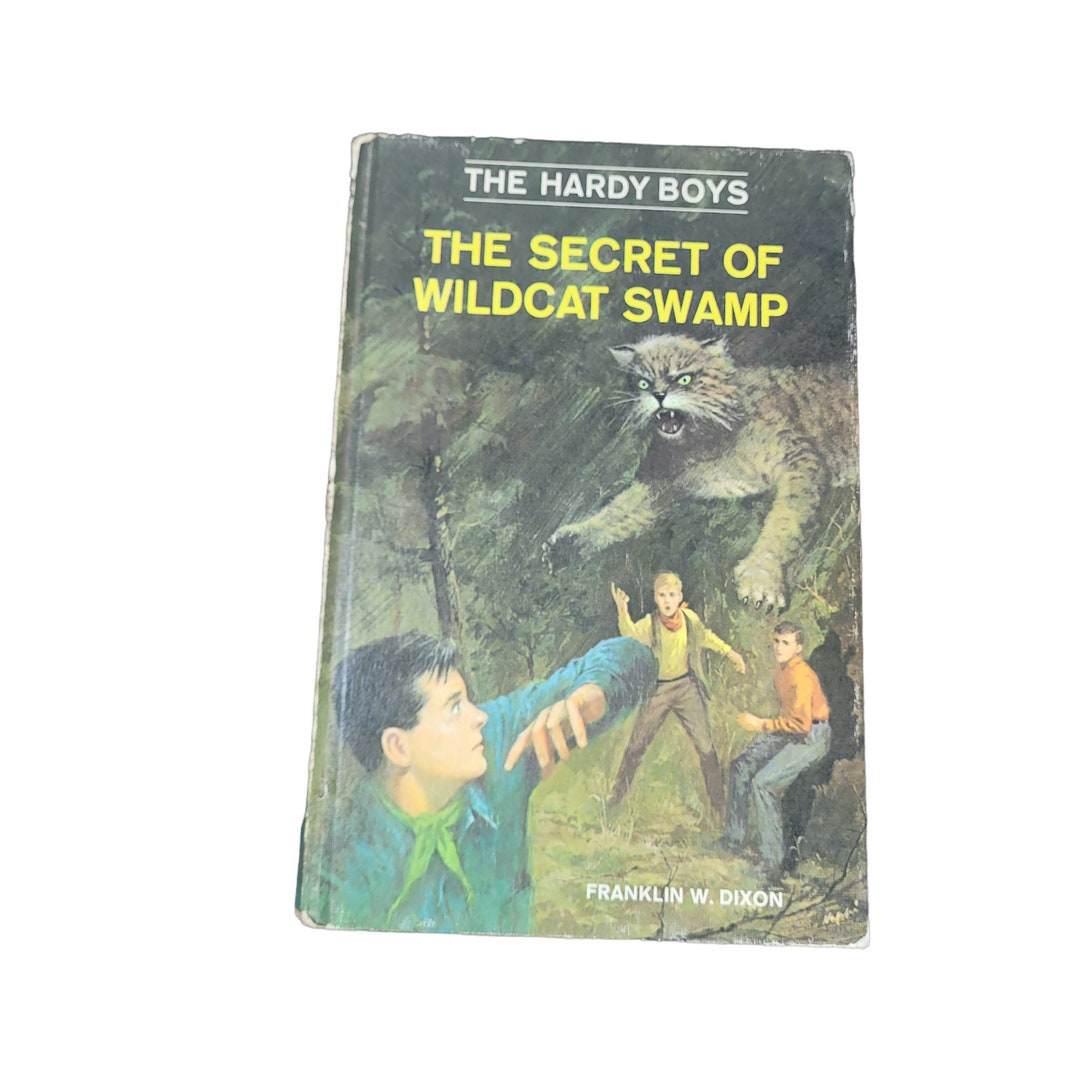Hardy Boys Secret of Wildcat Swamp Dixon Black White Illustration ...
