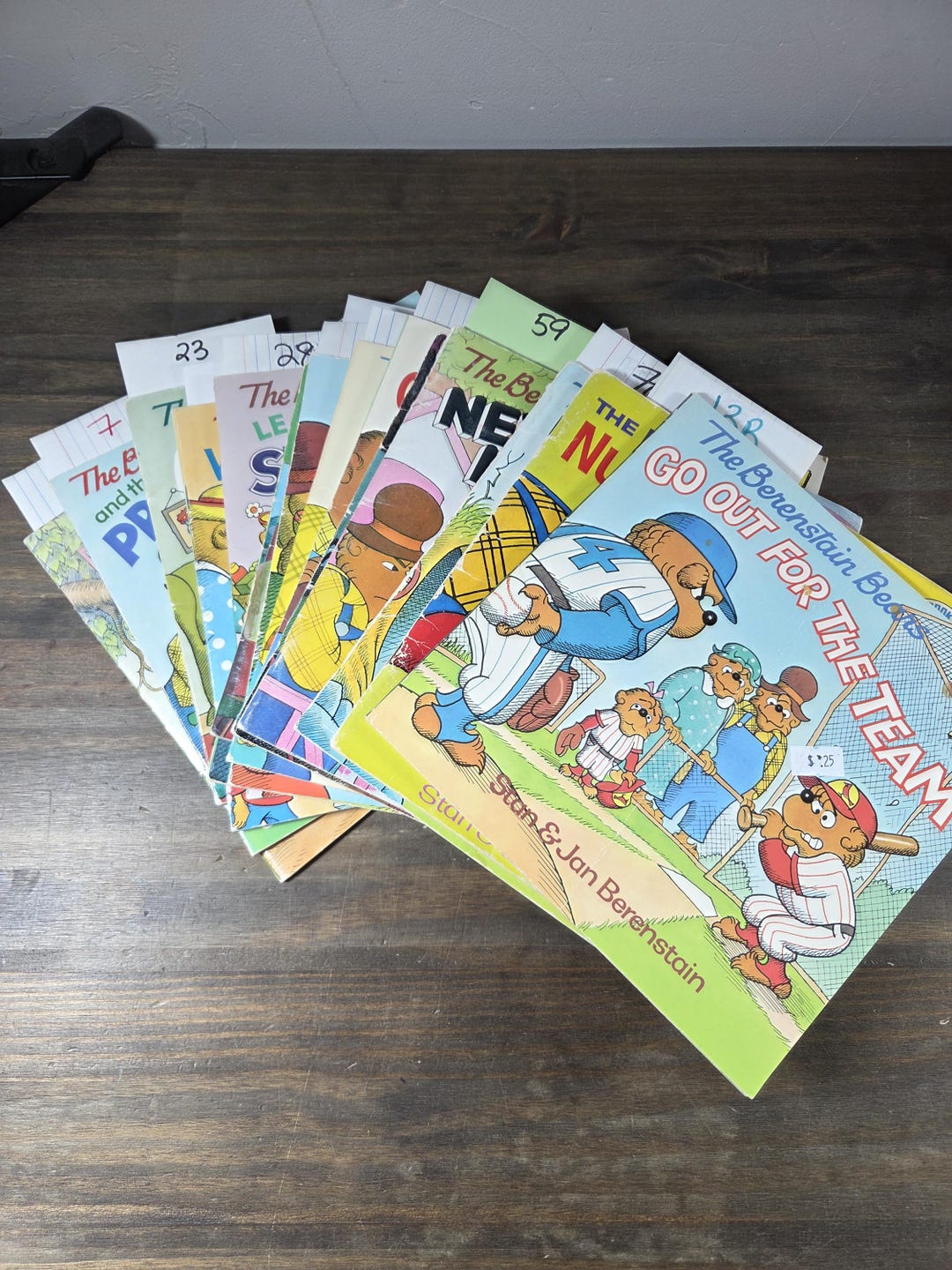 BERENSTAIN BEARS Picture Books Bundle Custom 15 - Etsy
