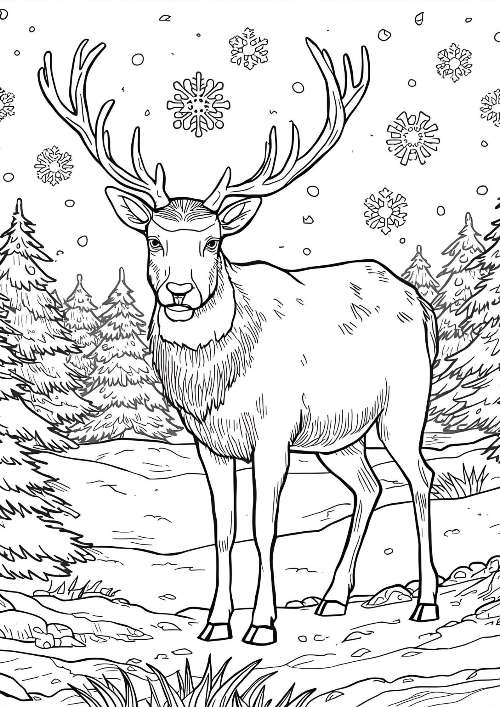 Holiday Magic Coloring Pages for Kids & Adults - Etsy