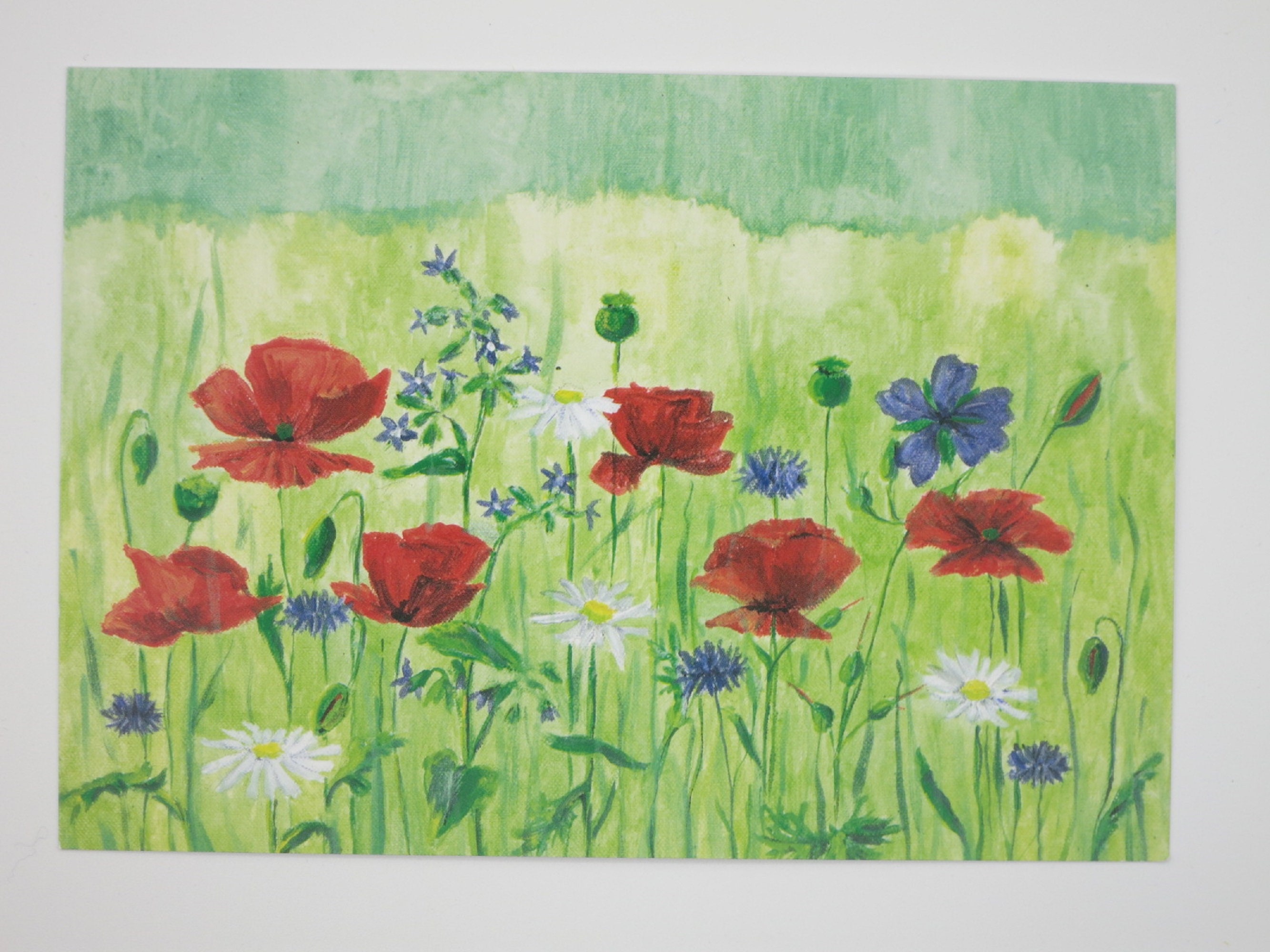 Summer Meadow Seasonal Table Waldorf Postcard | Etsy