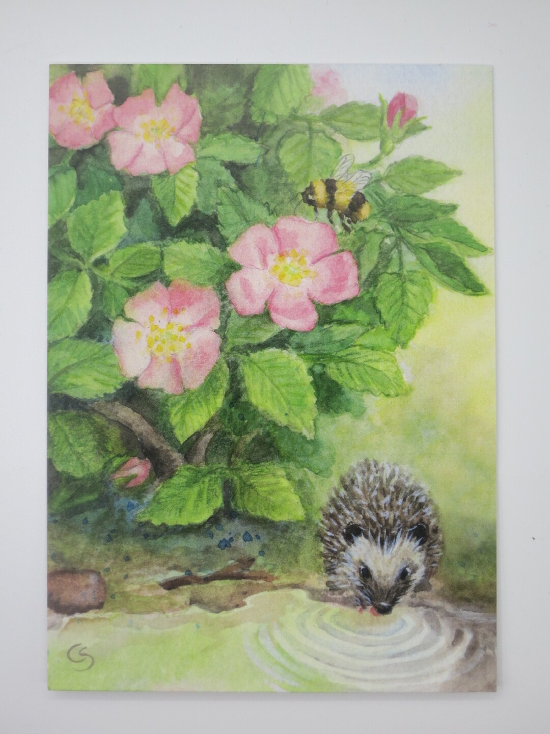 Little Hedgehog - Postcard - Seasonal Table - Waldorf - Summer - Rose ...