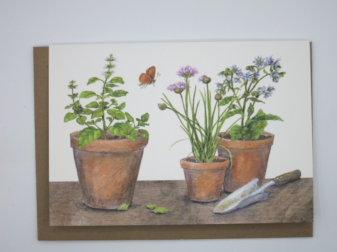 Flower Pot Birthday Card Card With Envelope Double Card Congratulations ...