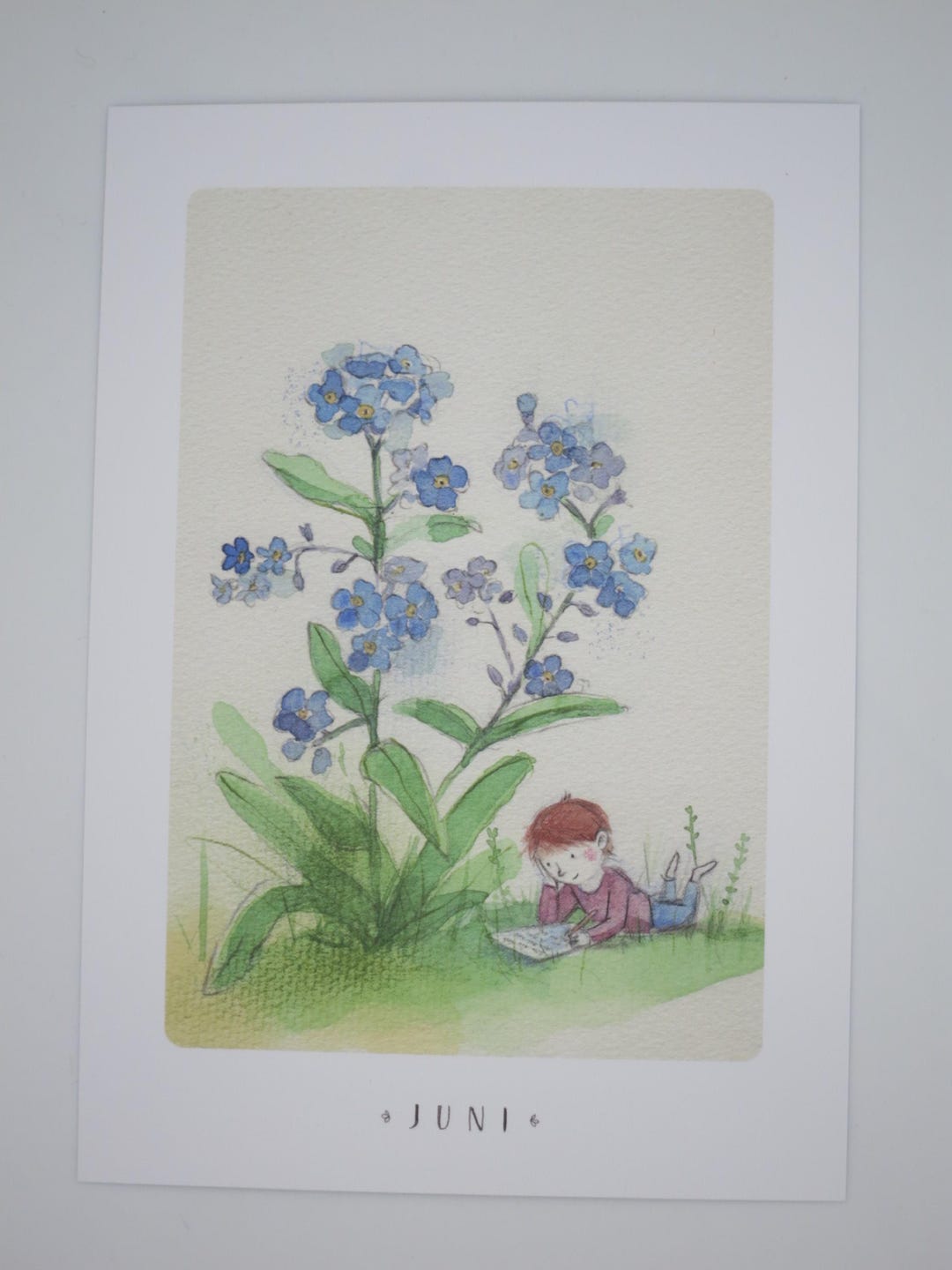 Monthly Card June - Forget-me-not - Postcard for the Seasonal Table ...