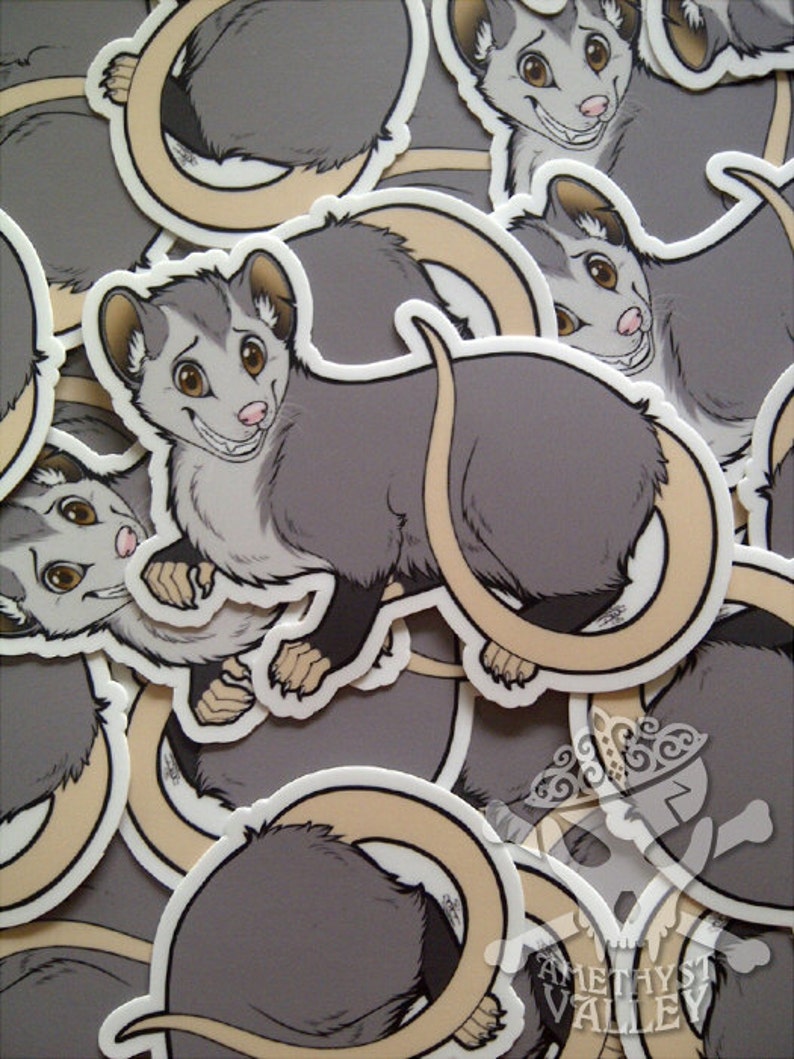 Possum Sticker - Etsy