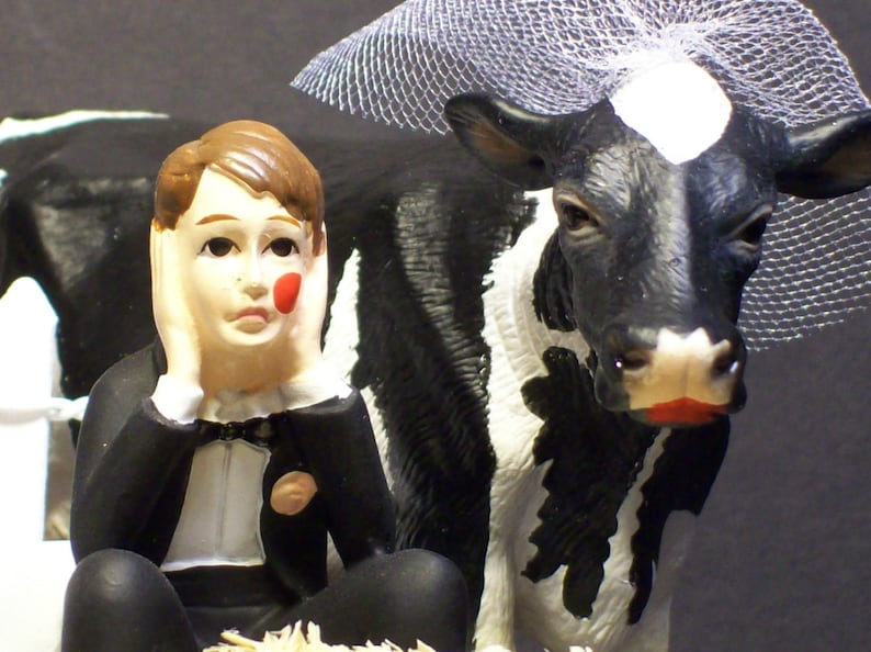 Marry the COW or Marry Me Bride & Groom Milk Man Wedding Cake Topper ...