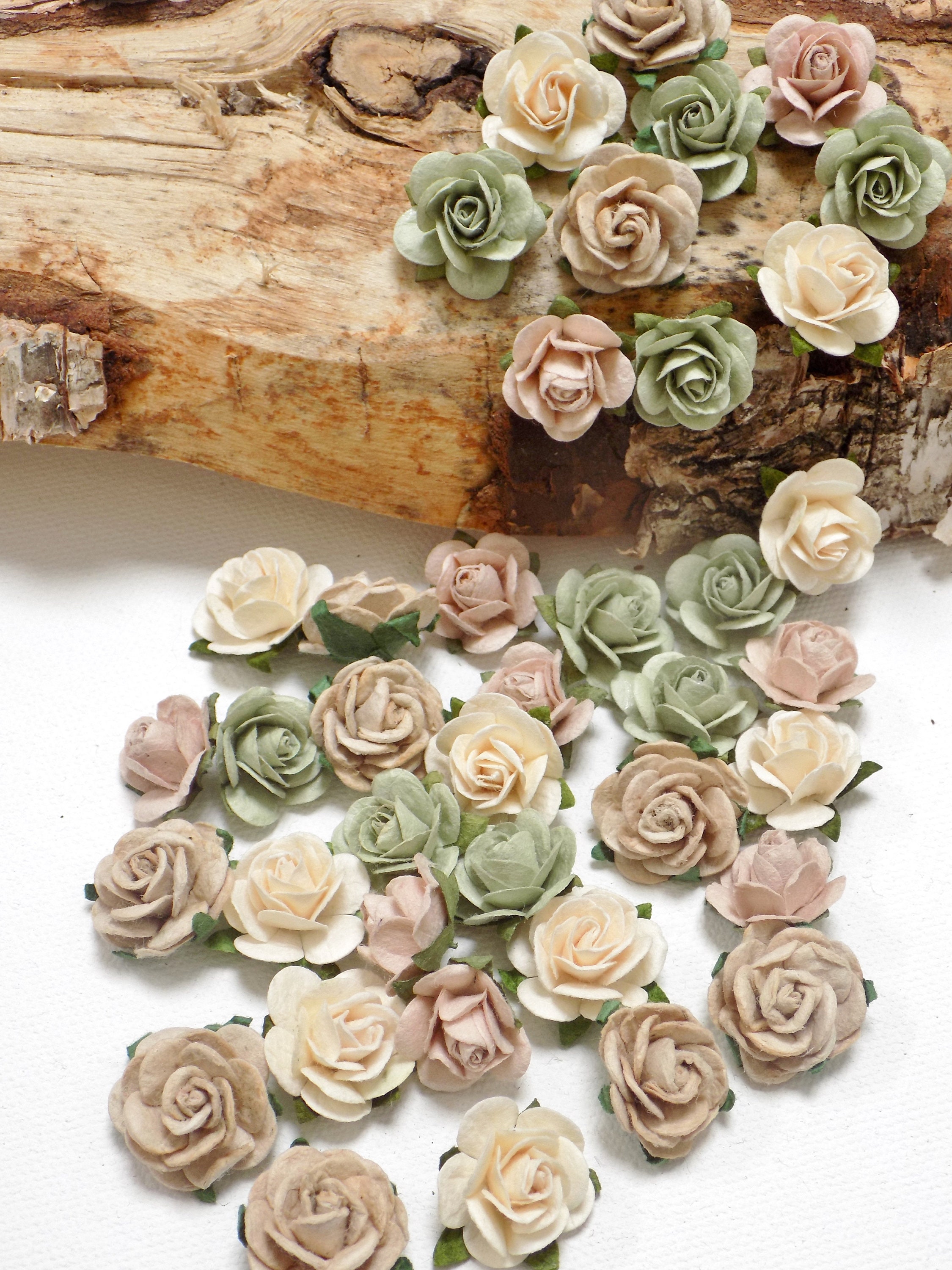 Set of 40 Mixed Color Paper Roses Mini Paper Flowers - Etsy