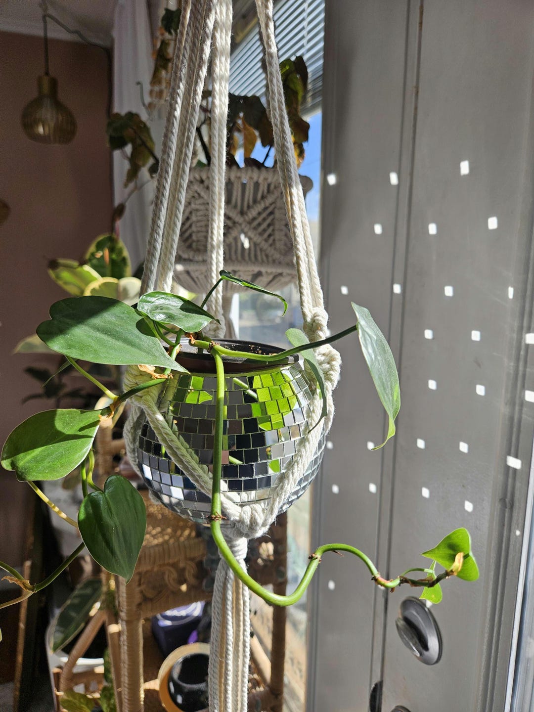 Hanging Macramé Disco Ball Planter, Dopamine Décor Disco Ball Plant Pot ...