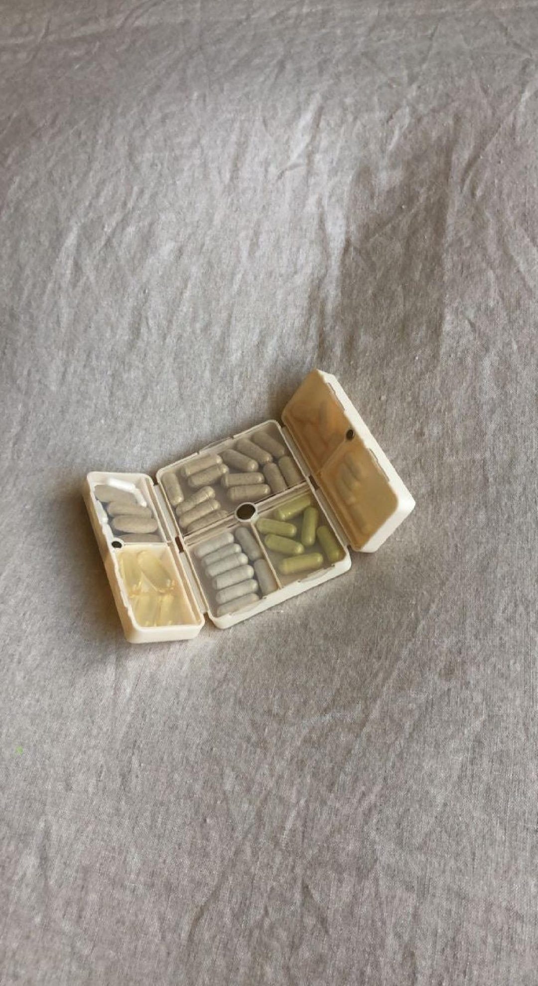 Magnetic Pill Organizer | Travel Supplement Case, 7-compartment - Etsy