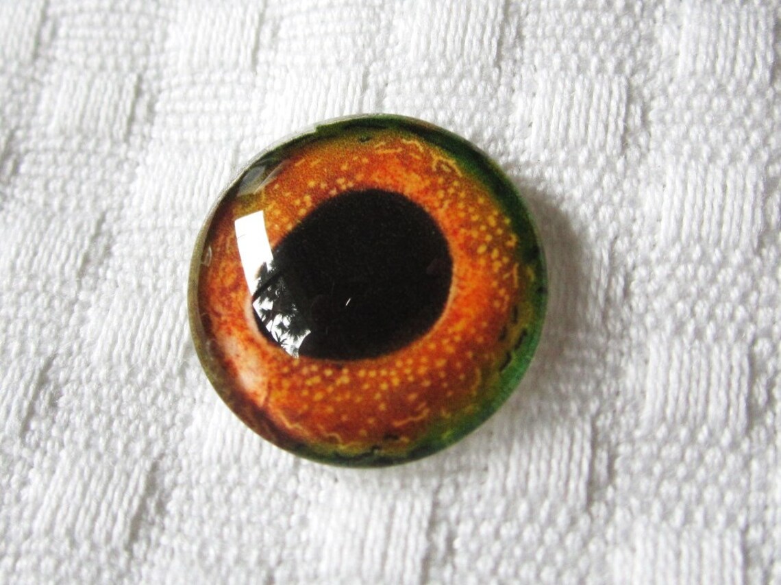 Glass Fish Eyes | Etsy