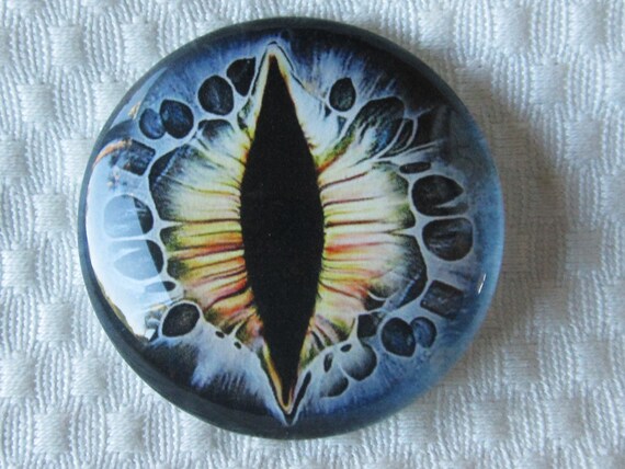 50mm Glass Eye-large Glass Eye-big Dragon Eye-big Dinosaur - Etsy