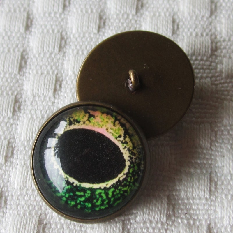 Frog Buttons - Etsy