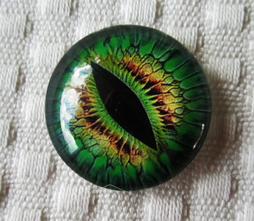 Cabujón de ojo de dragón verde: Ojo de cristal para joyería y escultura ...