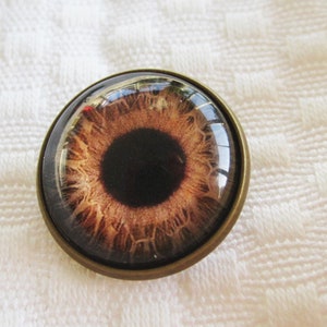 Sew on Glass Eyes, Button Back Glass Eyes, Glass Buttons - Etsy