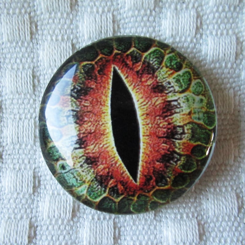 Reptile Eye - Etsy