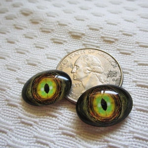 Oval Glass Eyes,spooky Eyes,dragon Eyes,18x13mm Cabochon,small Oval ...