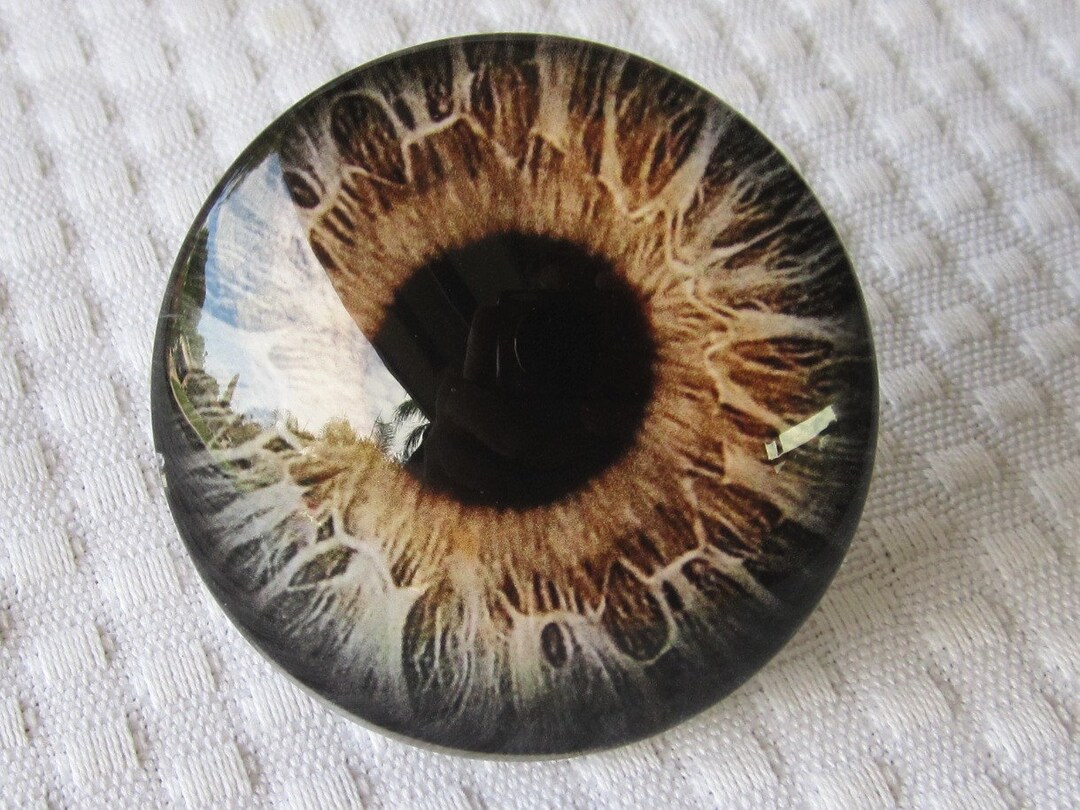 Large Glass Eye-big Dragon Eye-big Dinosaur Glass Eye-giant Glass Eye-2 ...