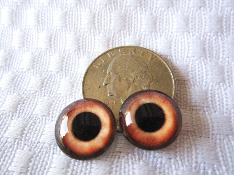 Glass Eyes for Dolls, Sculpture, and Crafts 14mm Cabochons - Etsy