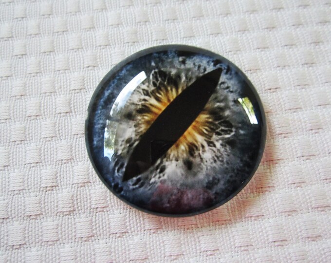 Big Glass Eyes - Etsy