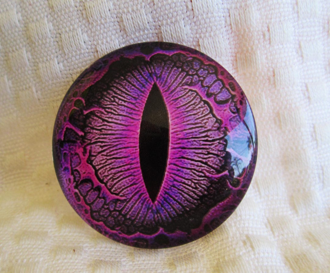 Reptile Eye-giant Glass Eye- 40mm Glass Cabochon - Etsy