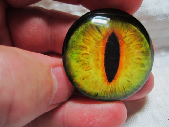 Glass Eye 40mm Cabochon Dragon Eye Big Large Glass Eye | Etsy