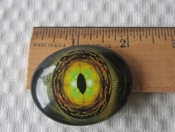 Glass Eye-raptor Eye-dragon Eye-50x40mm Cabochon-oval | Etsy