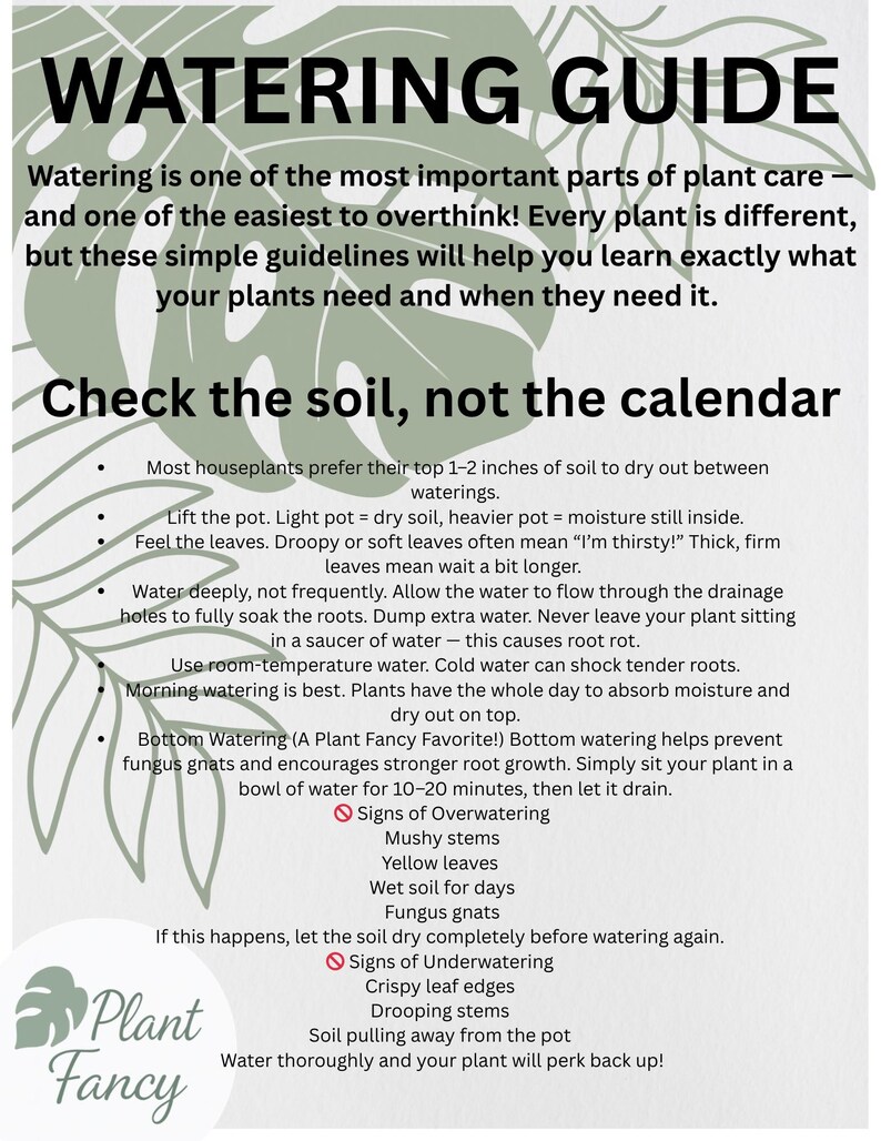 Printable Plant Watering Guide - Etsy