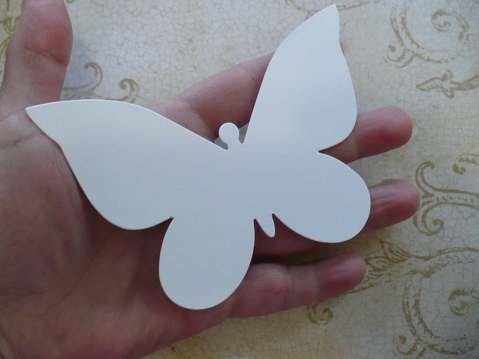 25 Butterfly Butterflies Die Cut Shapes Made From White - Etsy