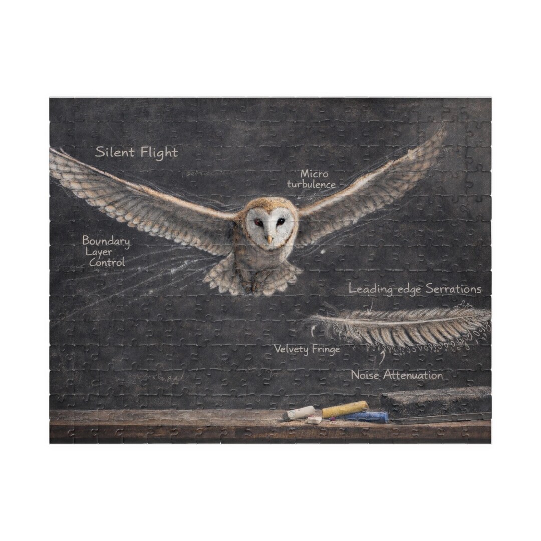Jigsaw Puzzle the Physics of Silence - Barn Owl Stealth Flight ...
