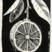 Set of 3 Lemon Prints, Kitchen, Black and White Prints, Linocut Print ...