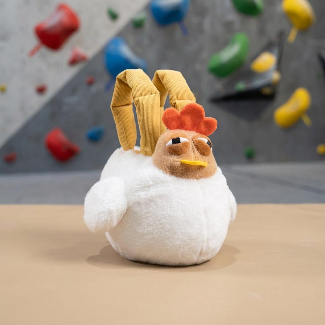 Sleepy Chicken Chalk Bag, Funny Climbing Chalk Bag, Bouldering Gym ...