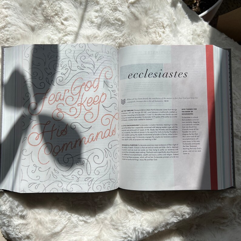 CSB Linen Bible With Bible Tabs - Etsy