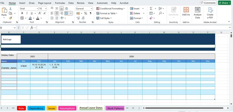 RAID Excel Template |risk Log | PMO Project Management Spreadsheet ...