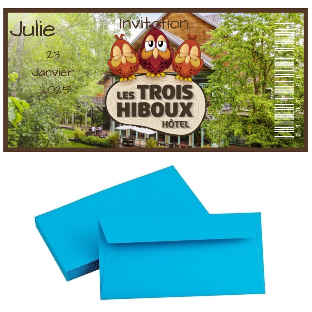 Billet Surprise - Hôtel Astérix - Les 3 Hiboux - Etsy