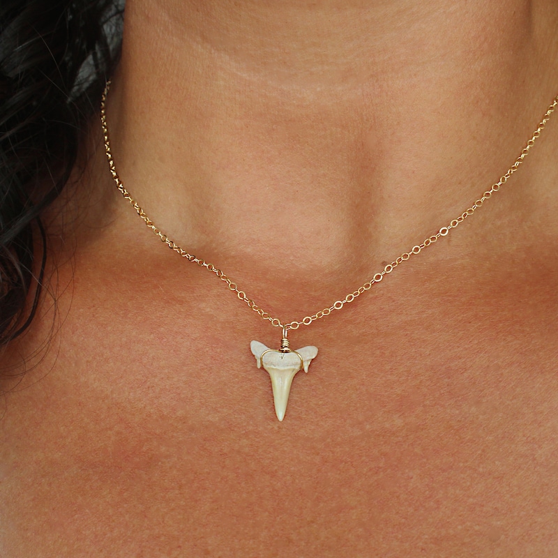 Animal Tooth Necklace Charm - Etsy