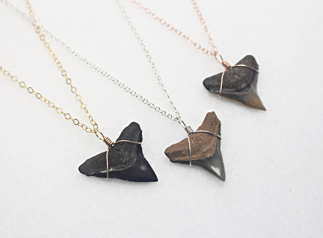 Dark Fossilized Shark Tooth Necklace, Black Shark Tooth Necklace, Real ...