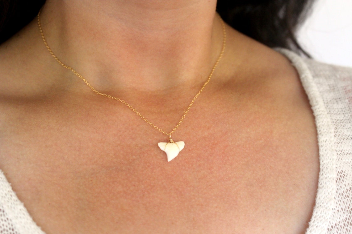 Genuine Shark Tooth Necklace Gold Shark Tooth Jewelry Real - Etsy