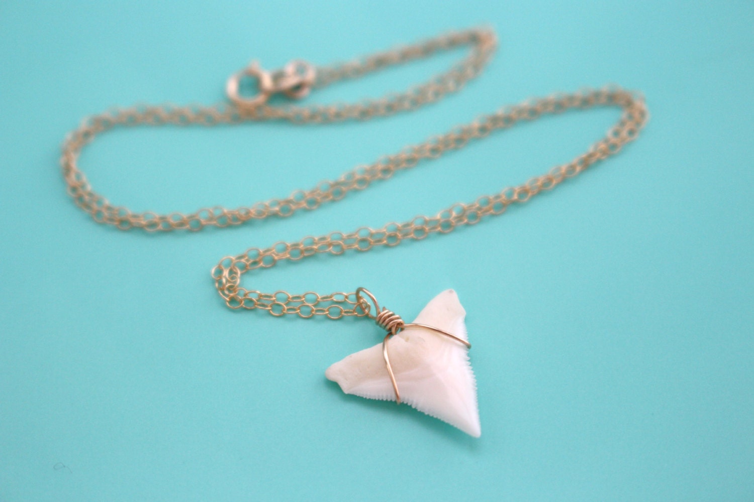 Genuine Shark Tooth Necklace Gold Shark Tooth Jewelry Real - Etsy