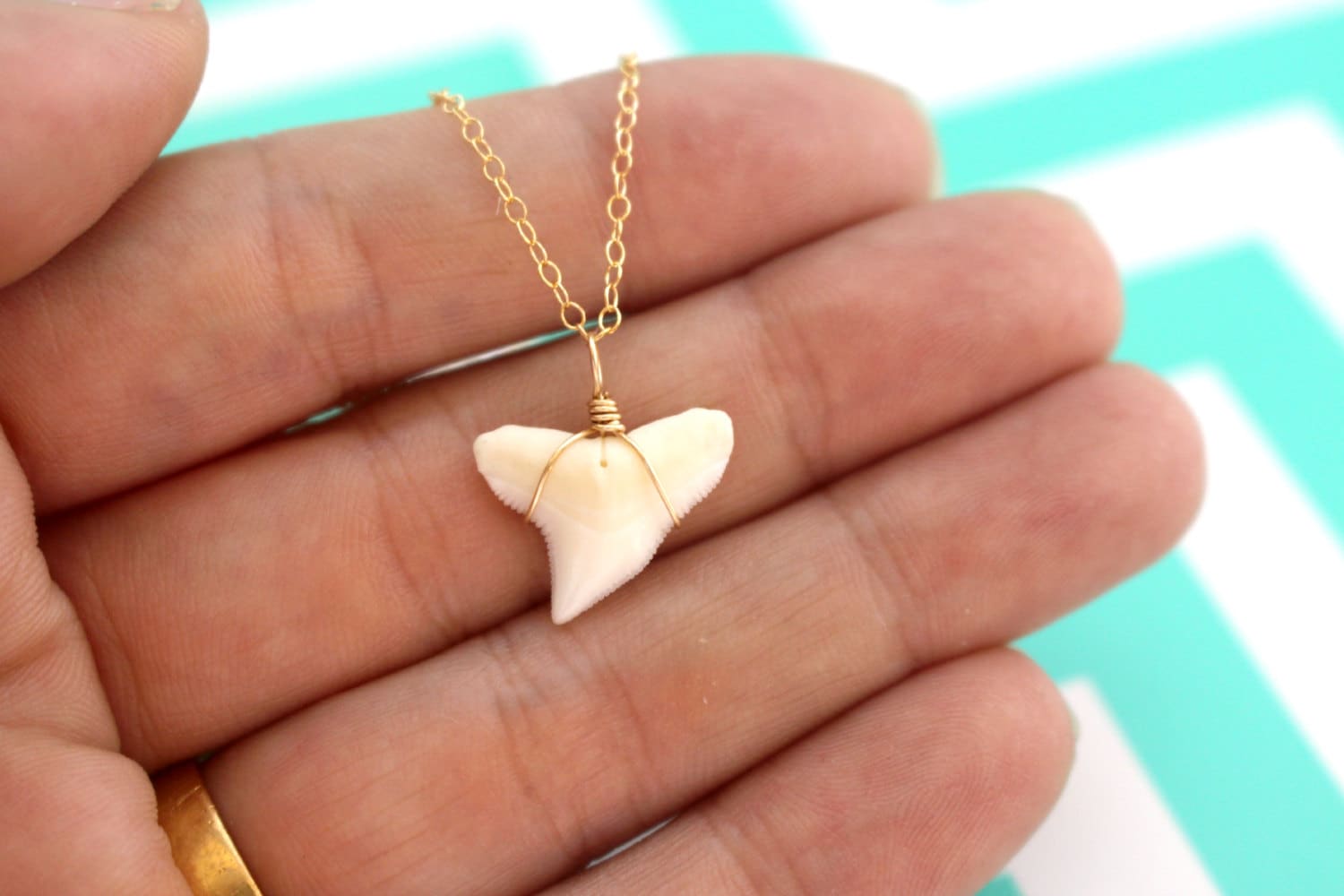 Genuine Shark Tooth Necklace Gold Shark Tooth Jewelry Real - Etsy