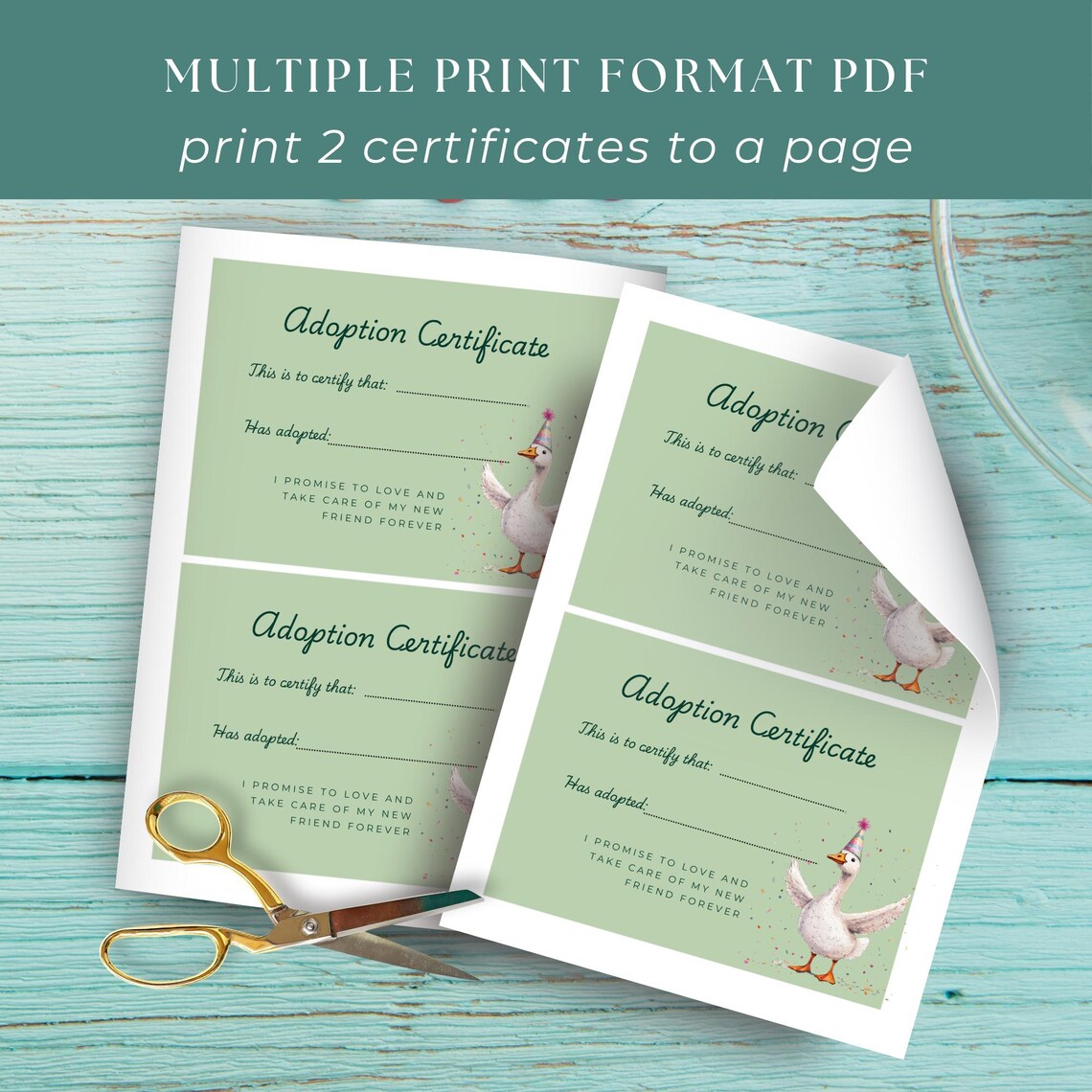 Duck Adoption Sign & Certificate Bundle, Adopt A Duck Birthday Party ...