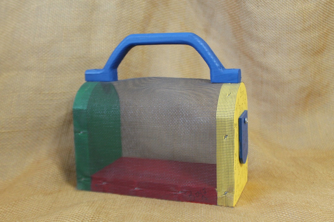Hand Painted Wooden Bug Box in Bright Colors With the Word "bugs ...