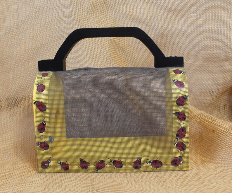 Lady Bug Hand Painted Wooden Bug Box Bug Cage Bug Home | Etsy