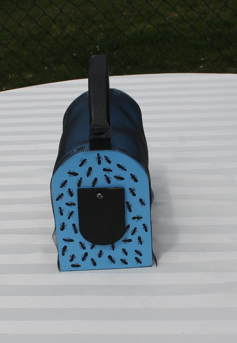 Blue Hand Painted Wooden Bug Box With Ants Bug Cage Bug - Etsy