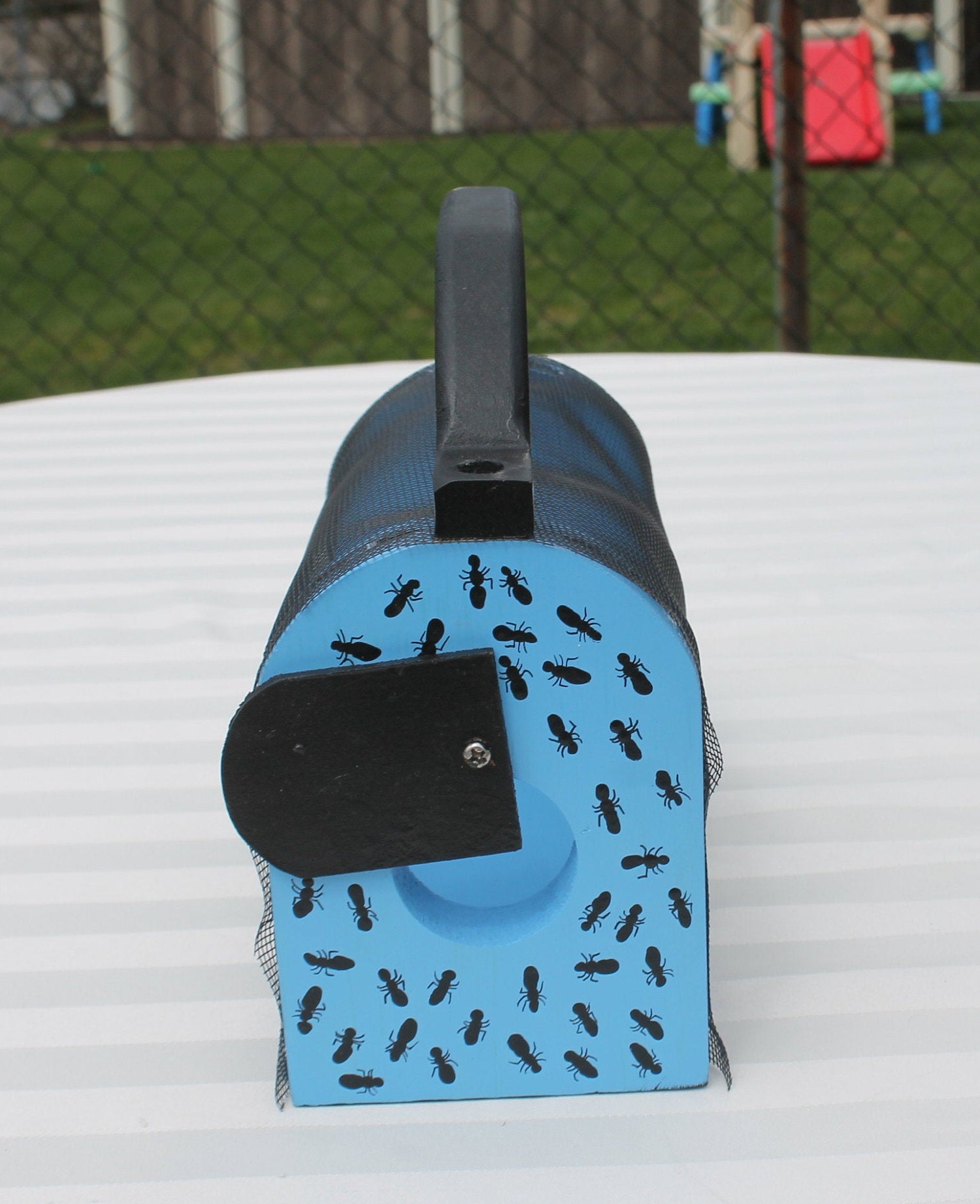 Blue Hand Painted Wooden Bug Box With Ants Bug Cage Bug - Etsy